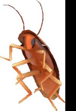 COCKROACH - Card - Custom Gwent