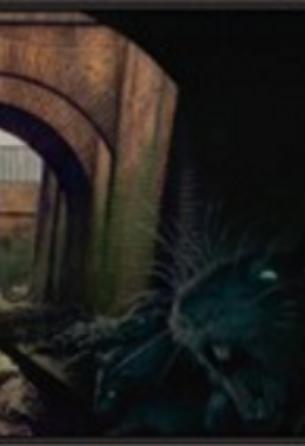 PACK RAT - Card - Custom Gwent