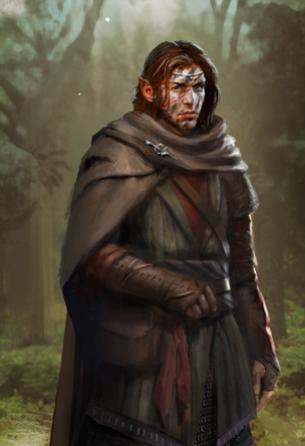 AEN SEIDHE - Card - Custom Gwent